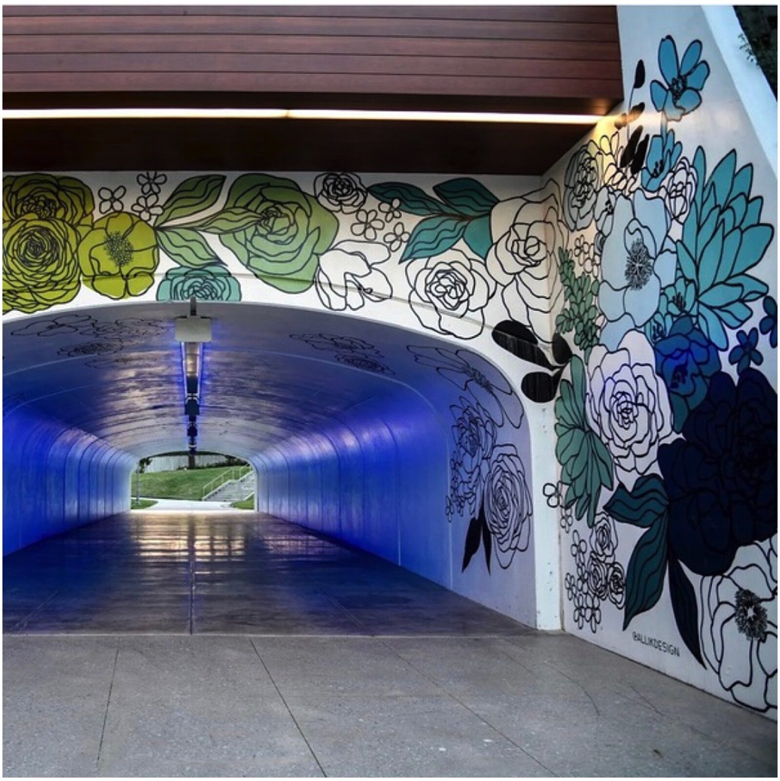 A Texas Muralist Tour: Every Public Mural I’ve Painted (So Far ...